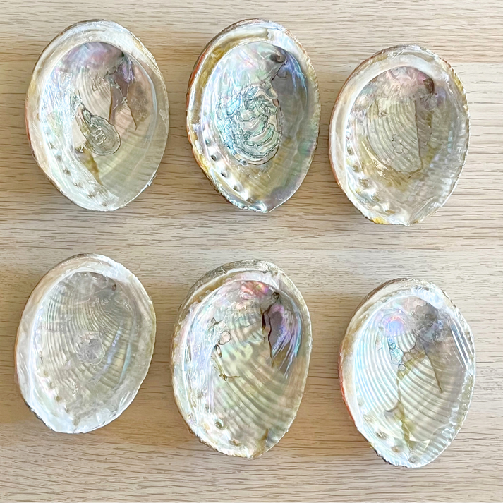 Small Abalone Shell – Manifest Crystal Bar